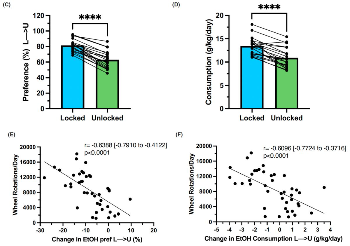 Publications | Centanni Lab